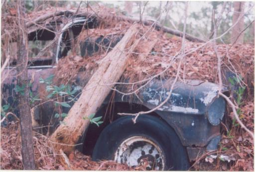 55 I - Gallery - Bobby Williamson | racersreunion.com