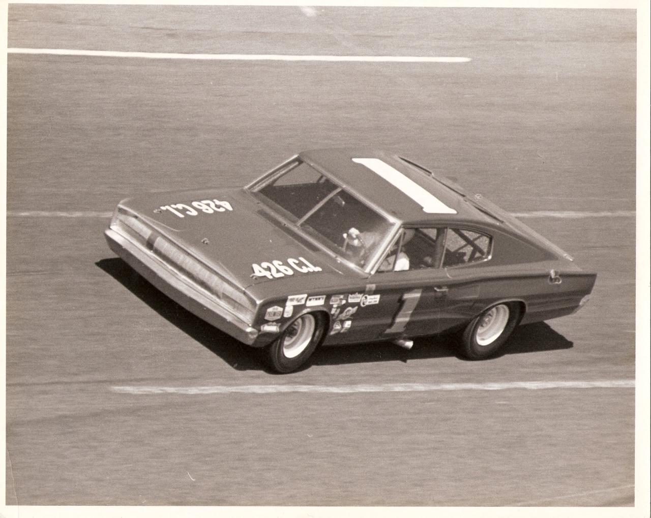 Paul Lewis - Gallery - Paul Lewis | racersreunion.com