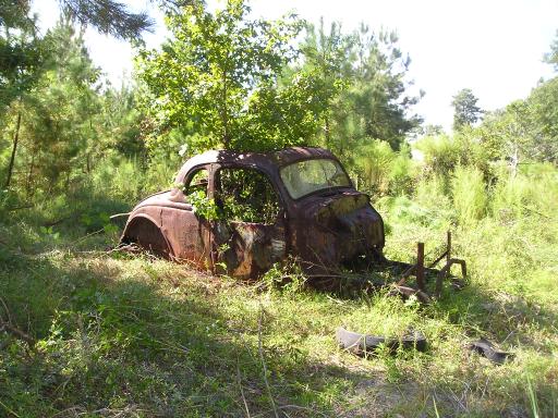 Picture 014 - Gallery - Bobby Williamson | racersreunion.com