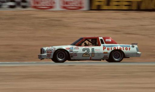 1981 NEIL BONNETT - Gallery - Richard Guido | racersreunion.com