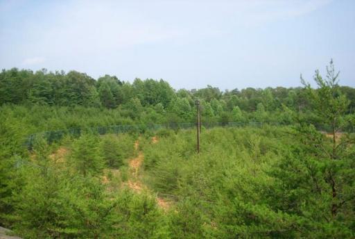 Log Cabin Raceway - Gallery - Bobby Williamson | racersreunion.com