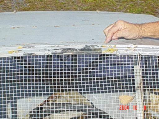 Richard Parry - Gallery - Richard Parry | racersreunion.com