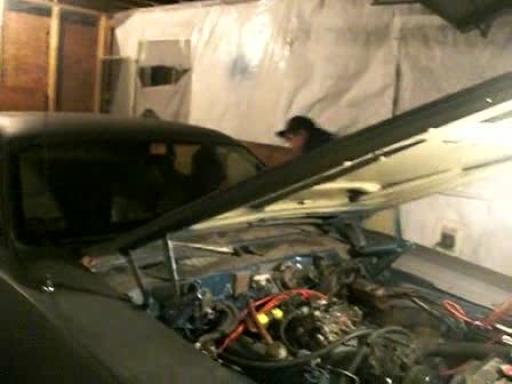 Charger 006 - Albert Burnett | racersreunion.com